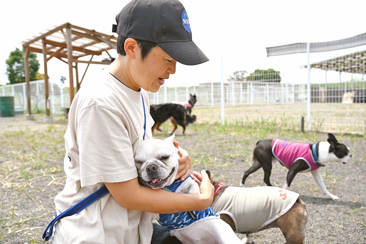 AJ Dog Community Club – 愛知県弥富市にある“わんちゃん”も“飼い主様”も楽しめるドッグクラブ